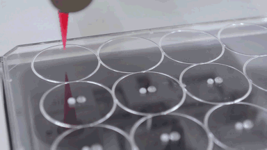 BICO acquired Advanced BioMatrix for US$15 million and launched 3D ...