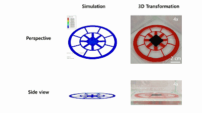 Science Advances | Magic ink transforms 2D printing into 3D and 4D ...
