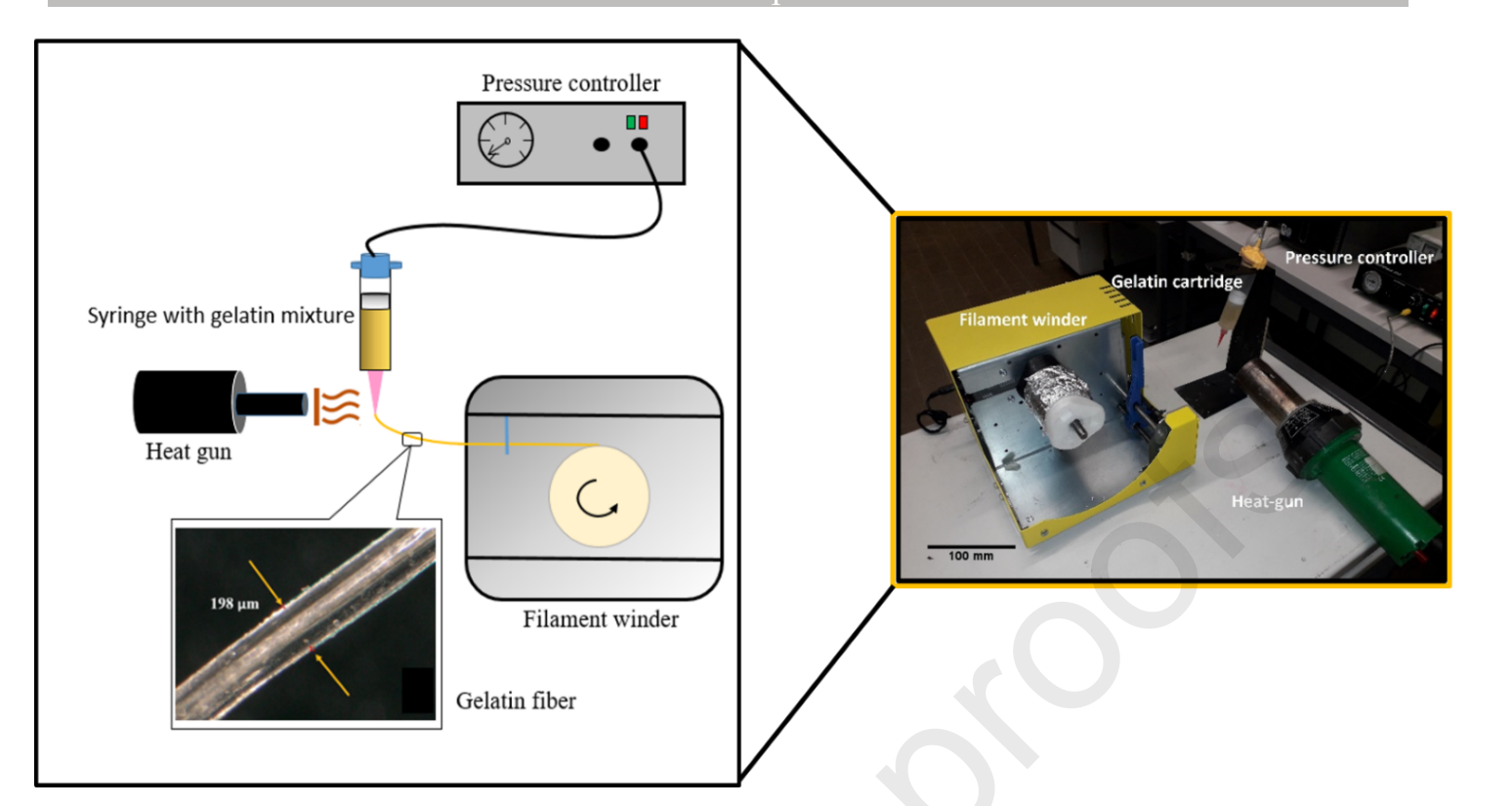Direct-to-ink 3D printing: manufacturing aortic models with realistic ...